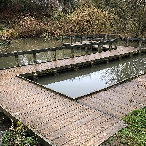 Guisborough Forest and Walkway - Huntee