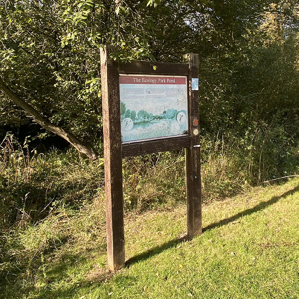 Billingham Beck Valley - Huntee