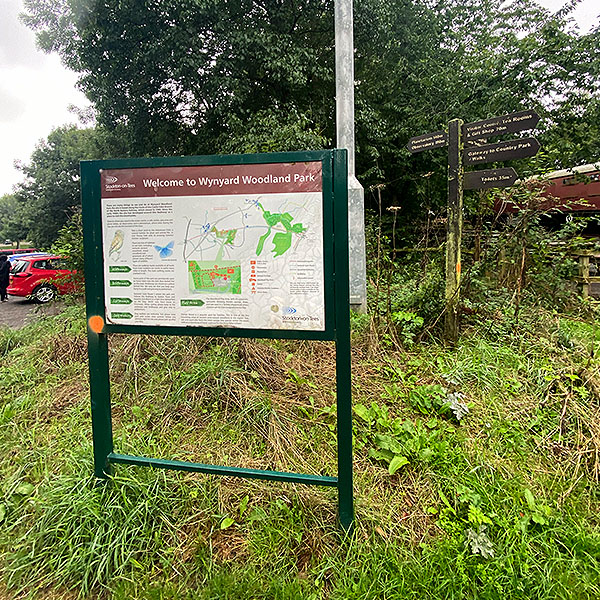 Wynyard Woodland Park - Huntee