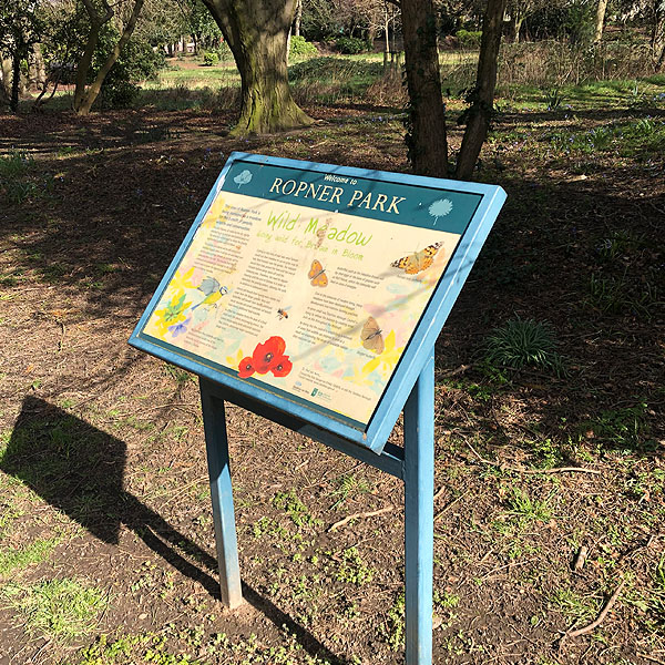 Ropner Park - Huntee